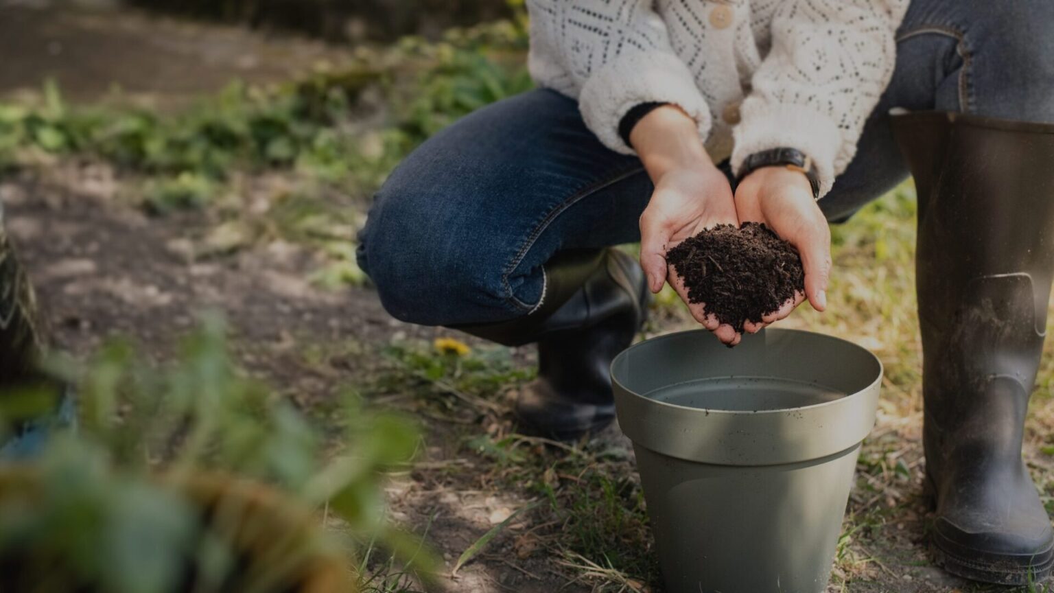 Guide Complet pour Utiliser le Compost dans Votre Jardin Domestique ...